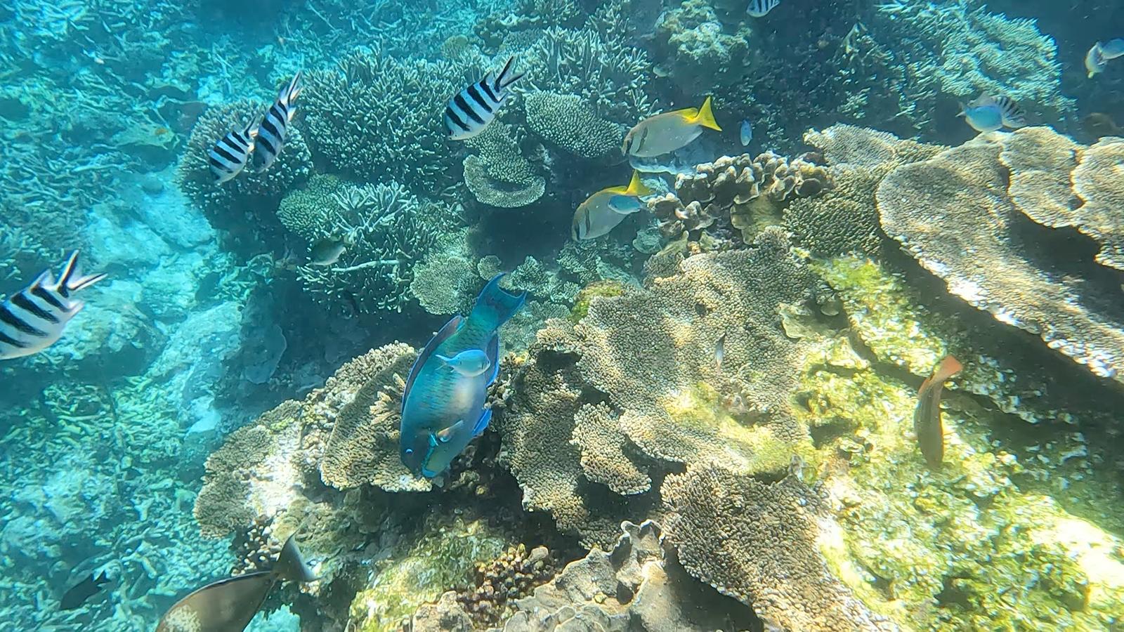 Pacific Prepared with Fred Hooper and Josaia Nanuqa - ABC Pacific