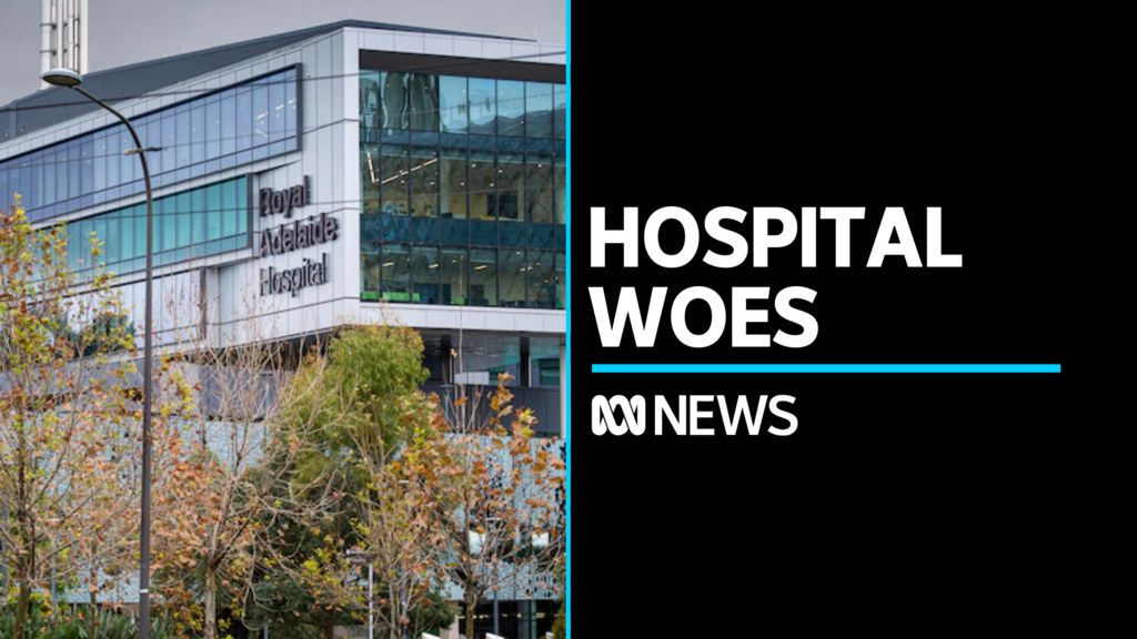 Royal Adelaide Hospital operating above official capacity - ABC News