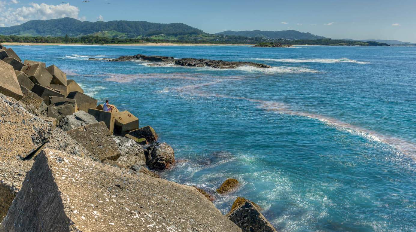 Red algae spotted off Coffs Harbour - ABC News