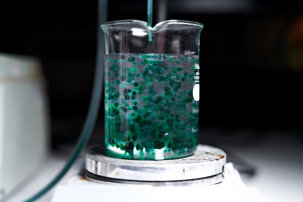 Adelaide scientists turn marine microalgae into 'superfoods' to ...