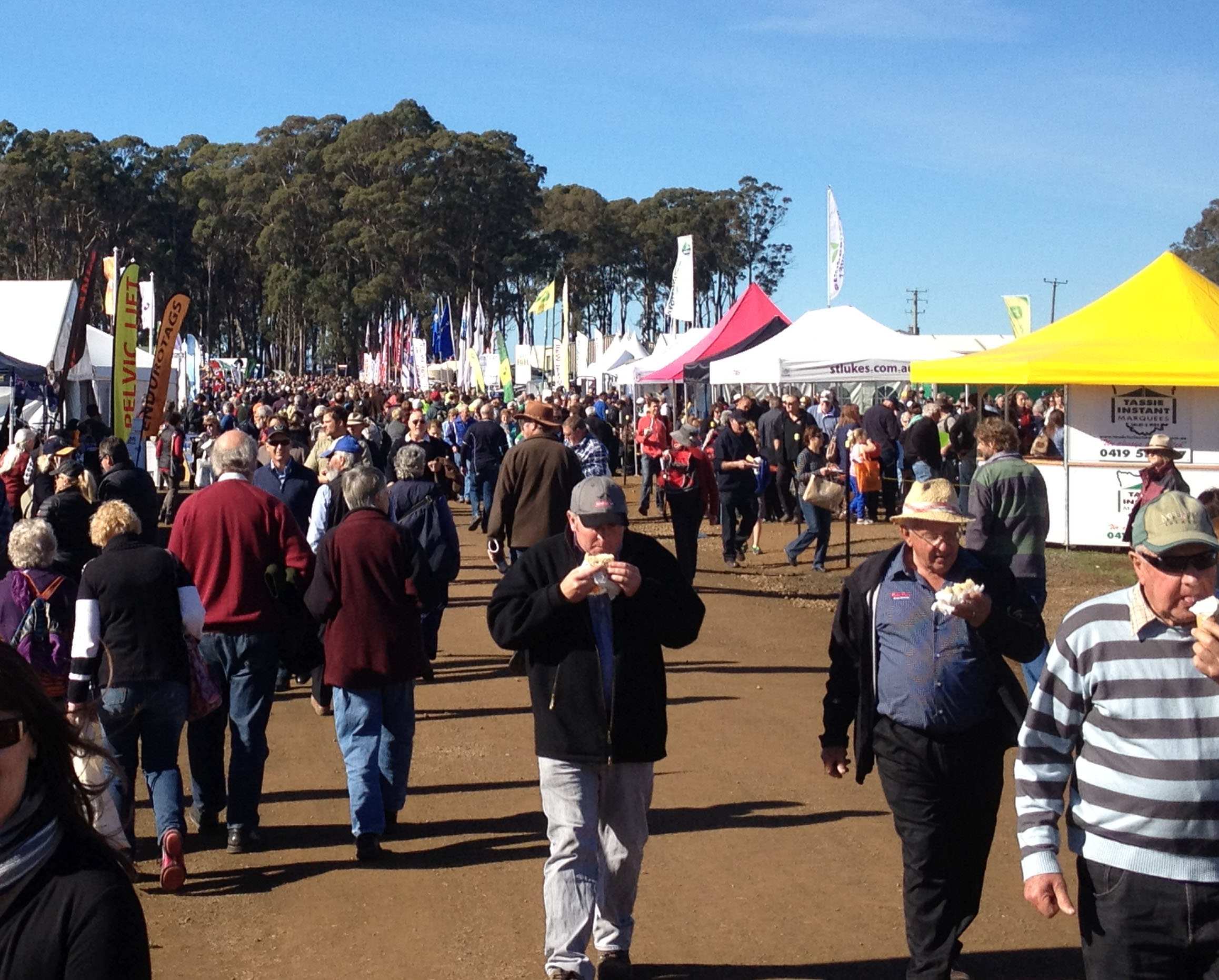 Tasmania's biggest agricultural festival kicks off today - ABC News