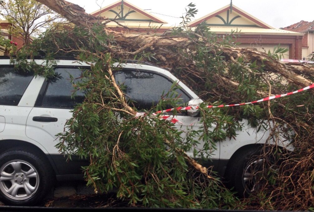 WA's south lashed by gale-force winds, heavy rain - ABC News