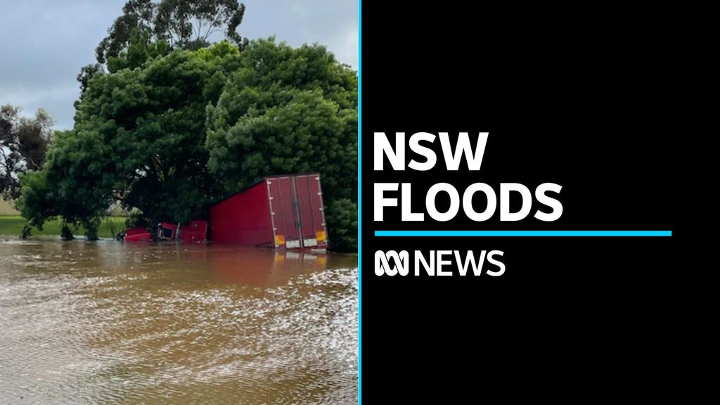 Damaging winds, flash flooding in parts of inland NSW - ABC News