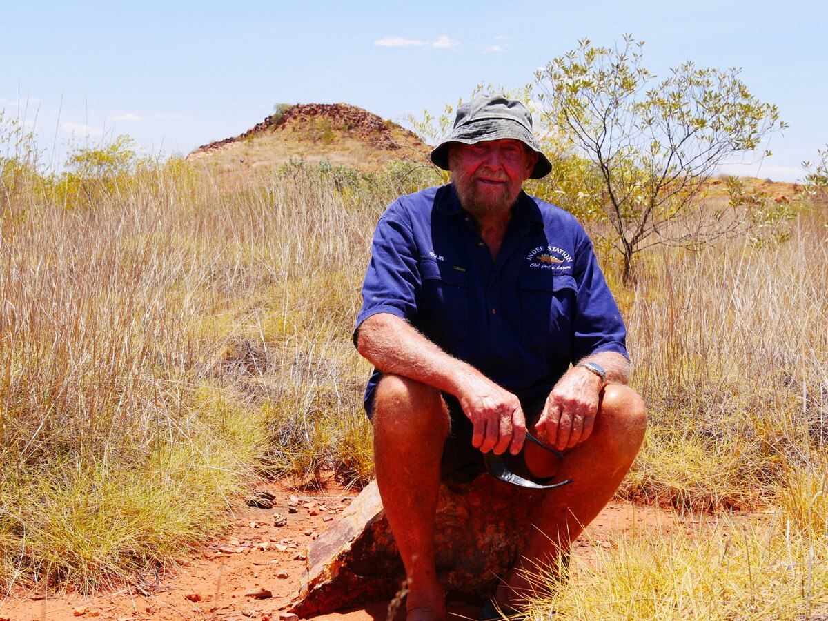 50 years on, WA's Vickers Viscount air crash a vivid memory for station ...