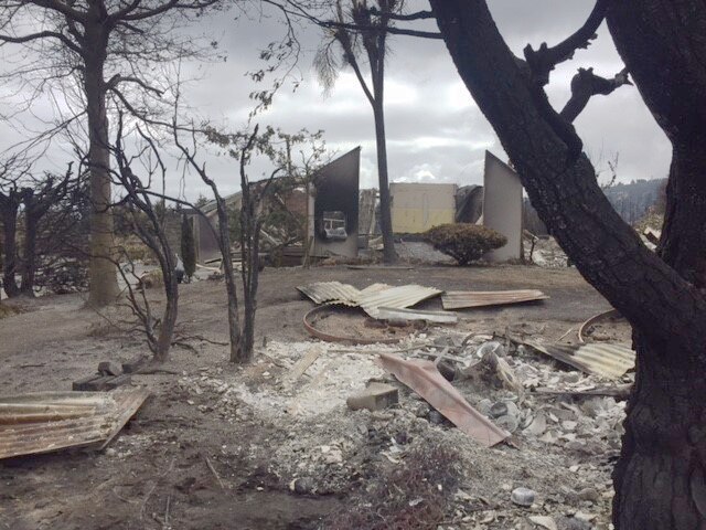 Christchurch fire halted as residents count losses - ABC News