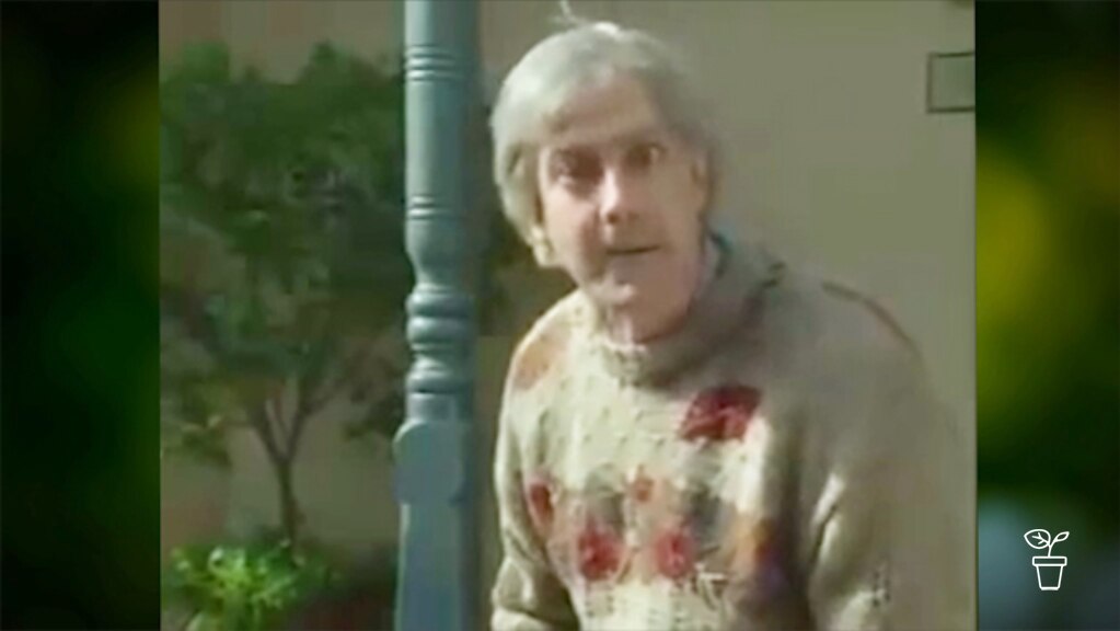 History of Gardening Shows on ABC TV - Gardening Australia