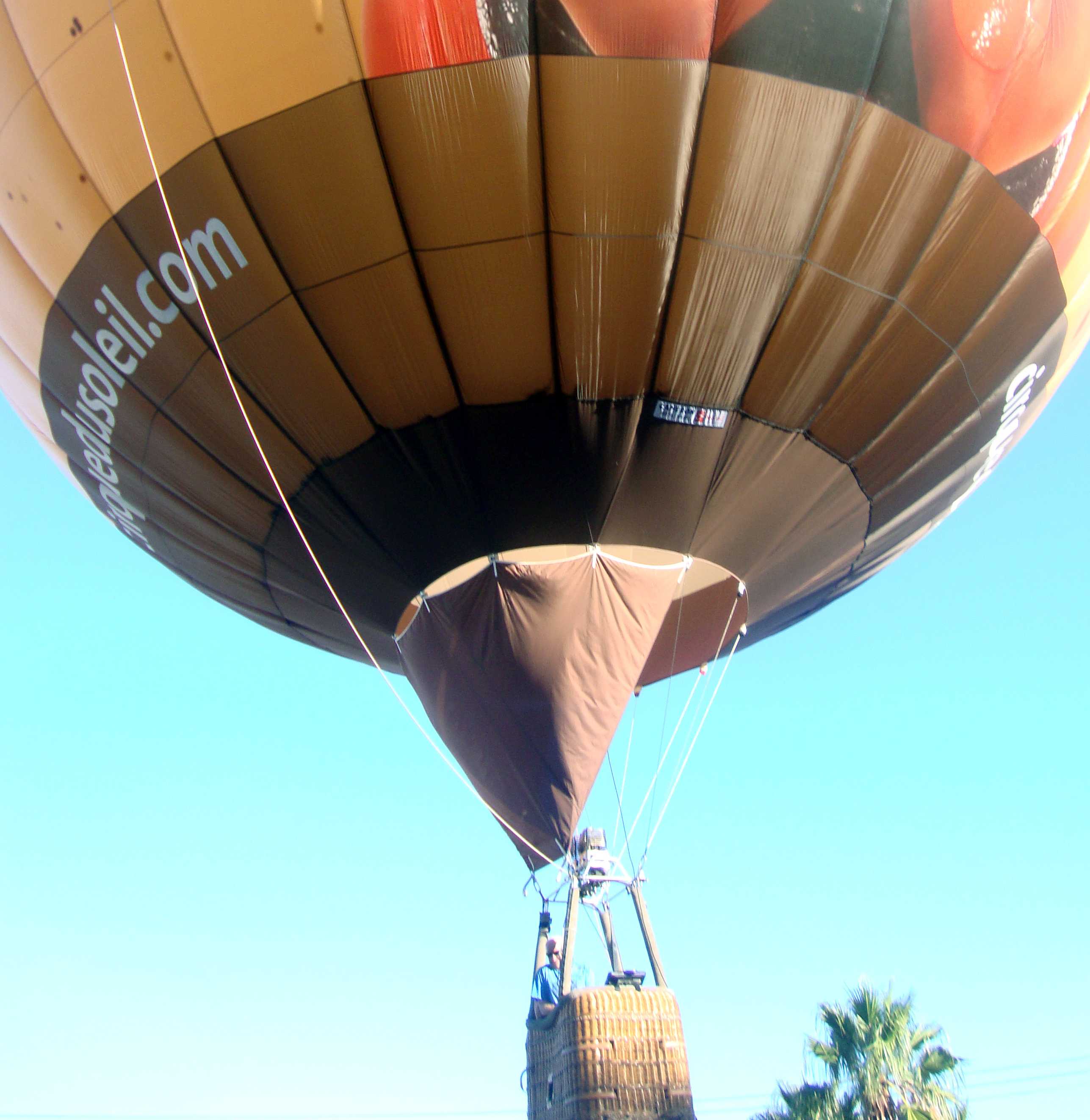 Hot air balloon makes forced landing on street - ABC News