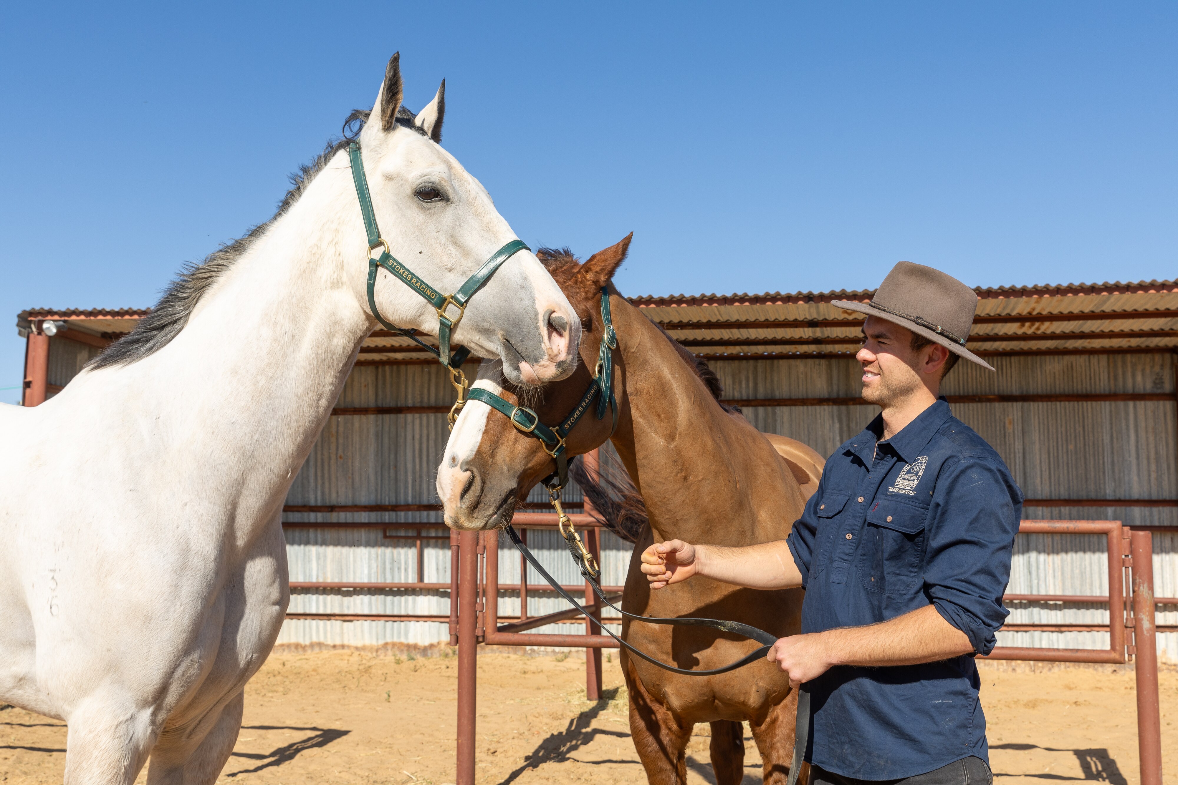 Birdsville Races still attracts crowd of colourful characters at edge ...