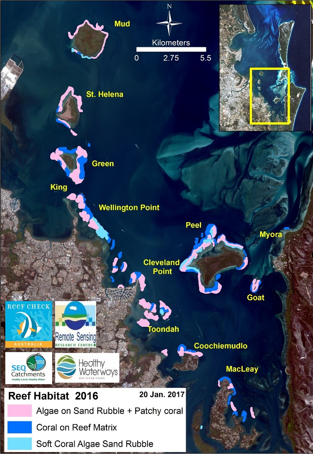 Moreton Bay coral discovery mapped out by scientists seeking better ...