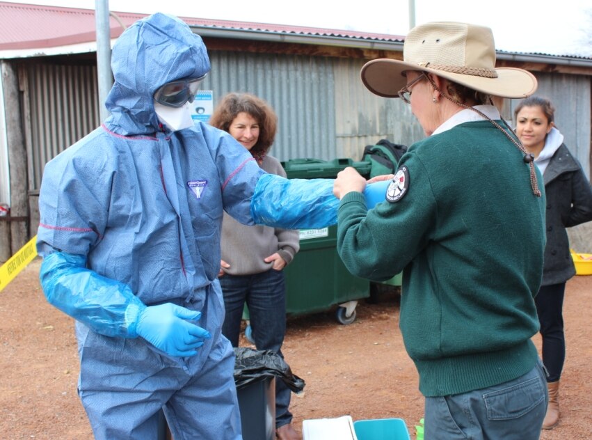 Biosecurity: Vets up-skill to prepare for future animal infectious ...