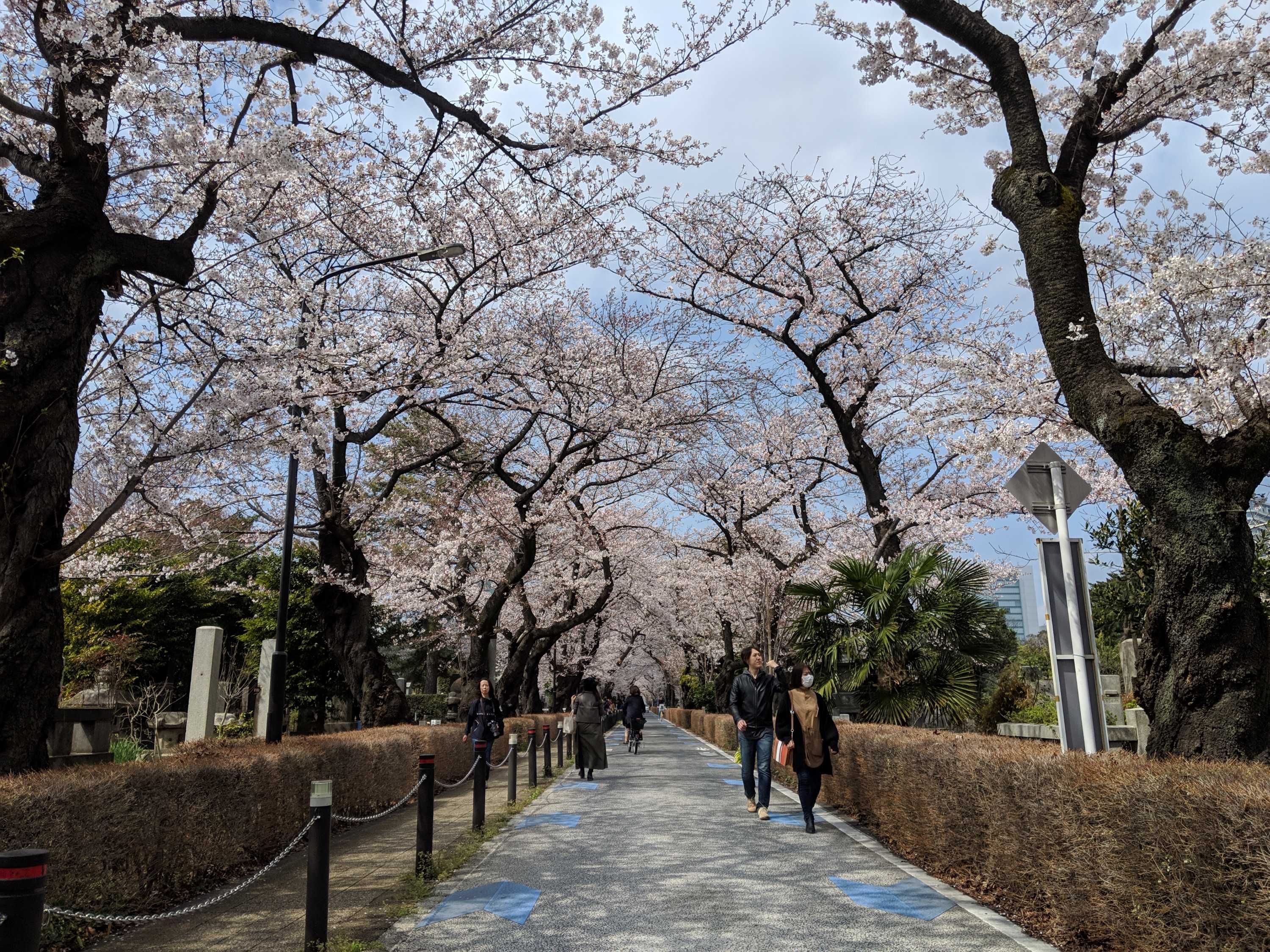 Japan to re-open borders to foreign tourism - ABC News