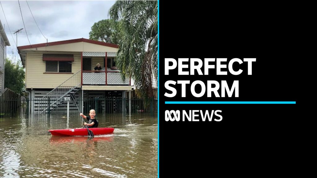 Idalia - 4811 - Location - ABC News