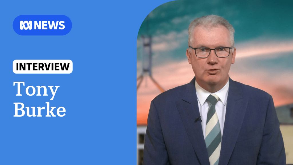 Tony Burke says to remain vigilant of scams after Qantas data leaks ...