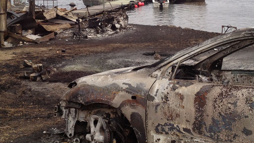 Bushfire recovery progress report - ABC News