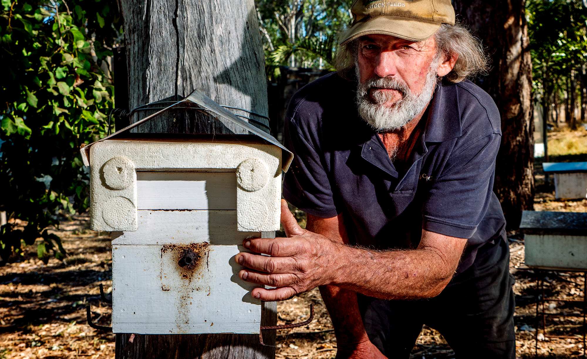 Country Kitchens: Honey from native bees like liquid gold - ABC listen