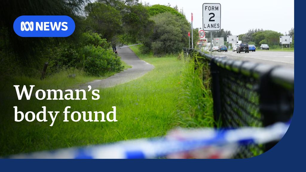 Woman's body found dumped by busy Sydney motorway - ABC News
