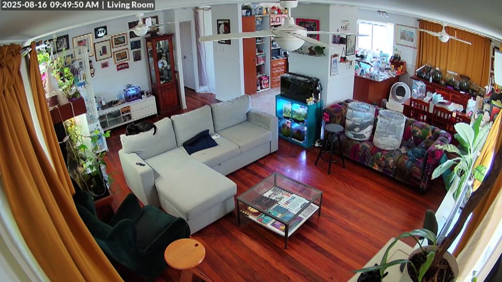 Bruce Lehrmann's lawyer Zali Burrows leaves Toowoomba District Court on ...