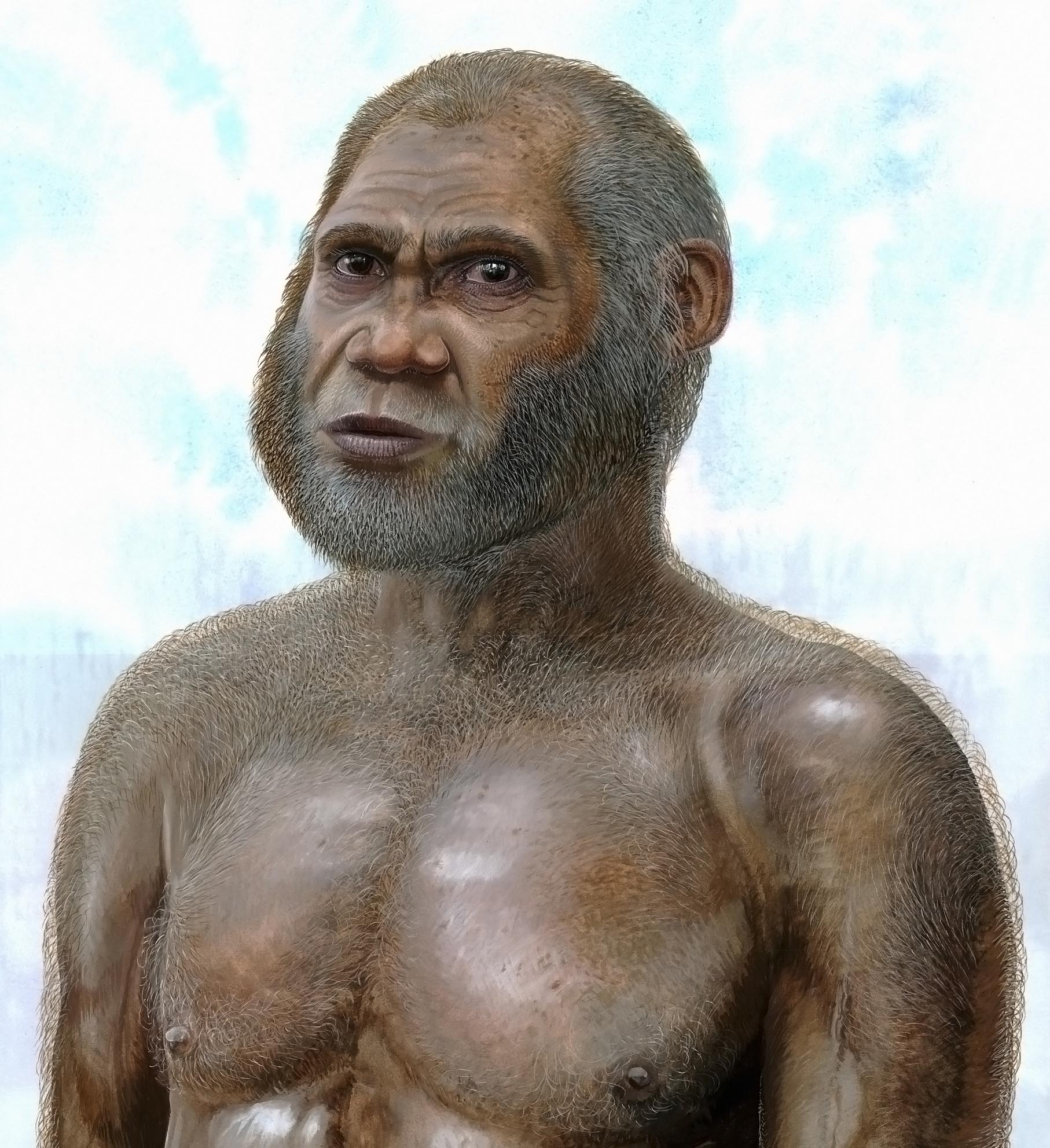 Scientists identify new Stone Age people - ABC News
