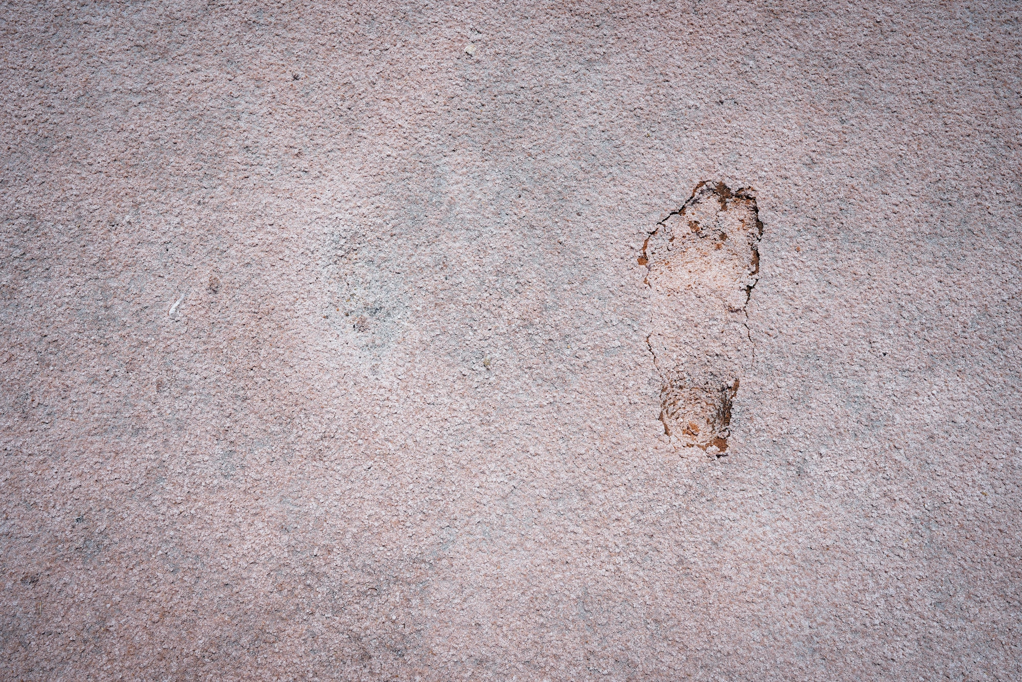 From the sands of time, the Pintupi Nine were thrust into the glare of ...