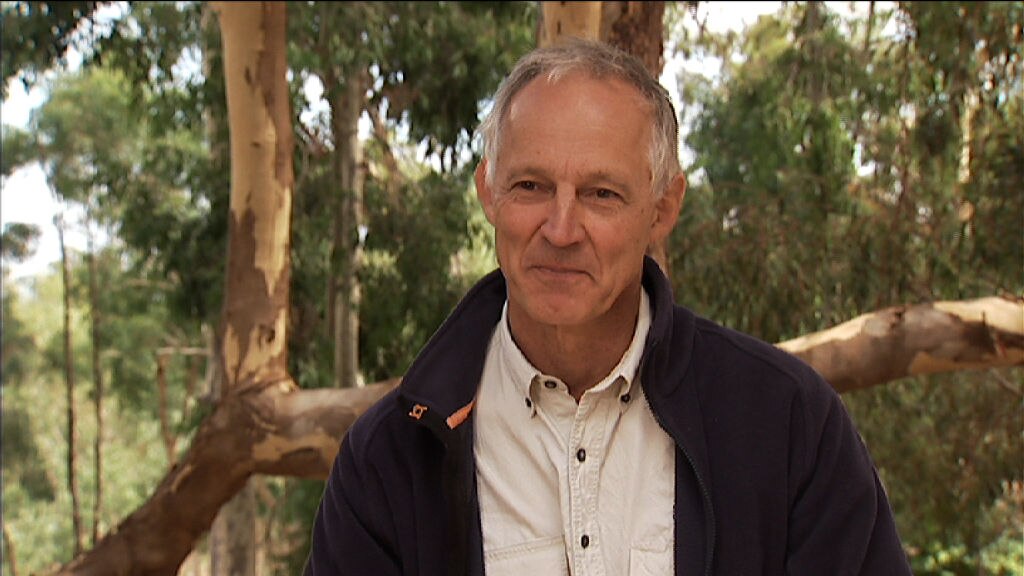 Rabbit Virus Release : Greg Mutze - ABC News