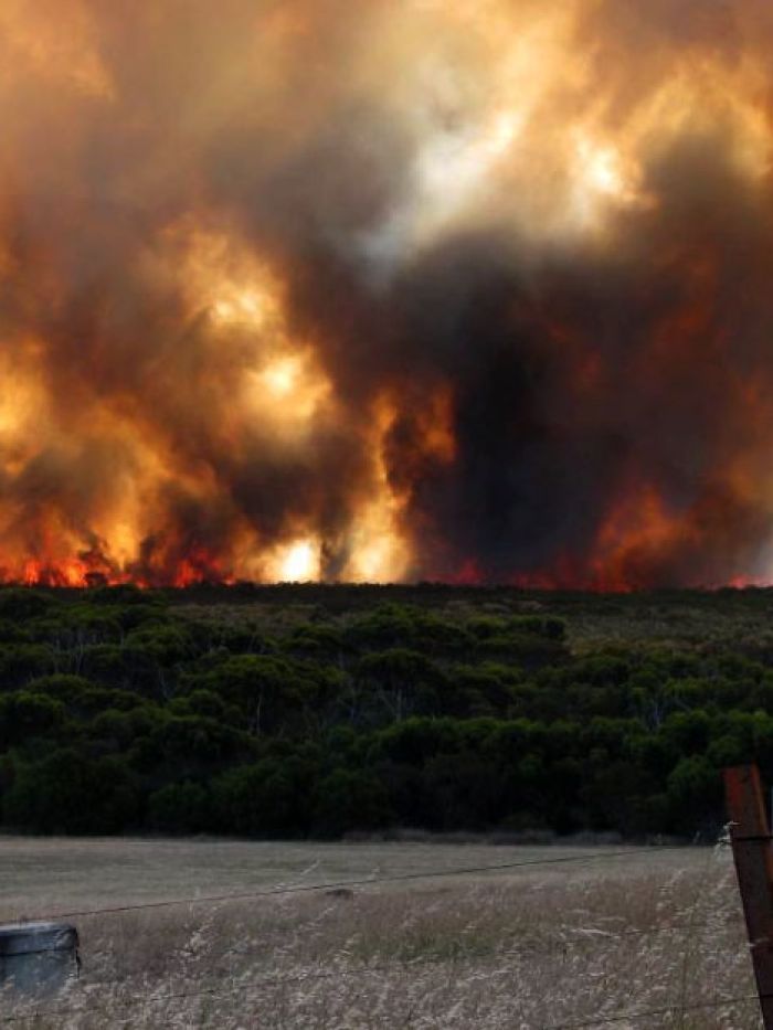 Four dead in Esperance fires - ABC listen