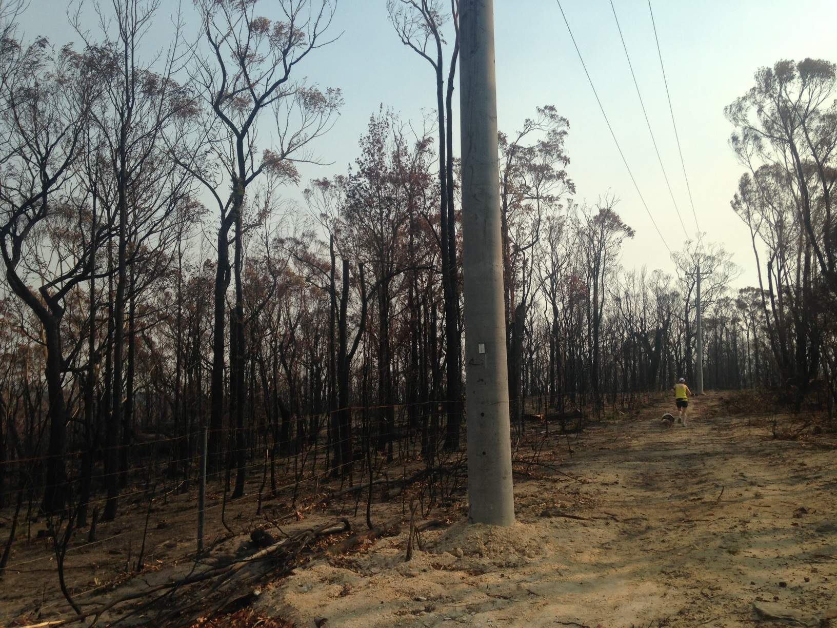 Springwood and Winmalee residents search for normality amid bushfire ...