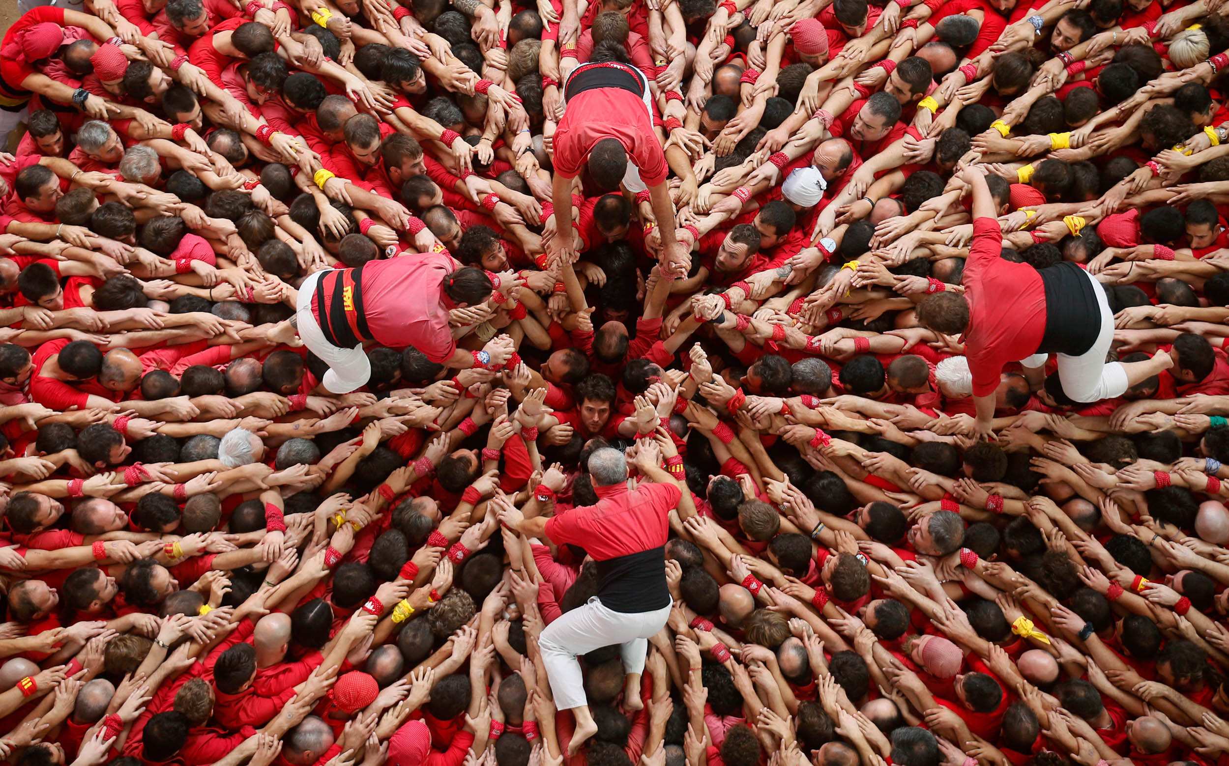 Human tower: Koalas of Melbourne attempt to create Australia's first ...