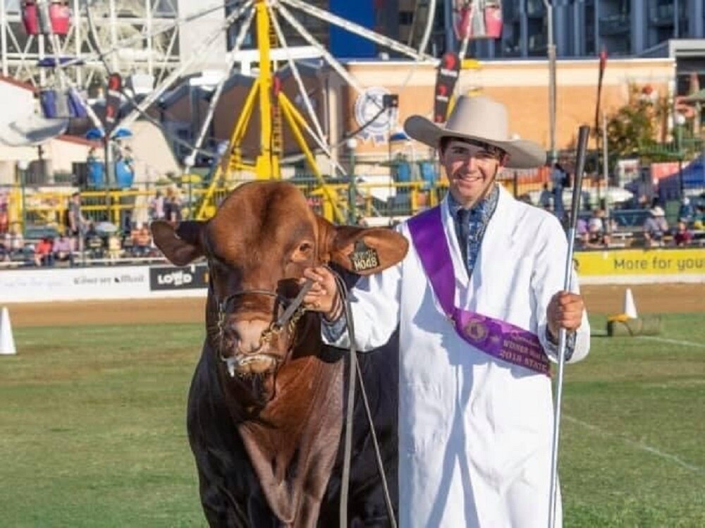 21 year-old set to judge cattle at the Royal Darwin Show - ABC listen