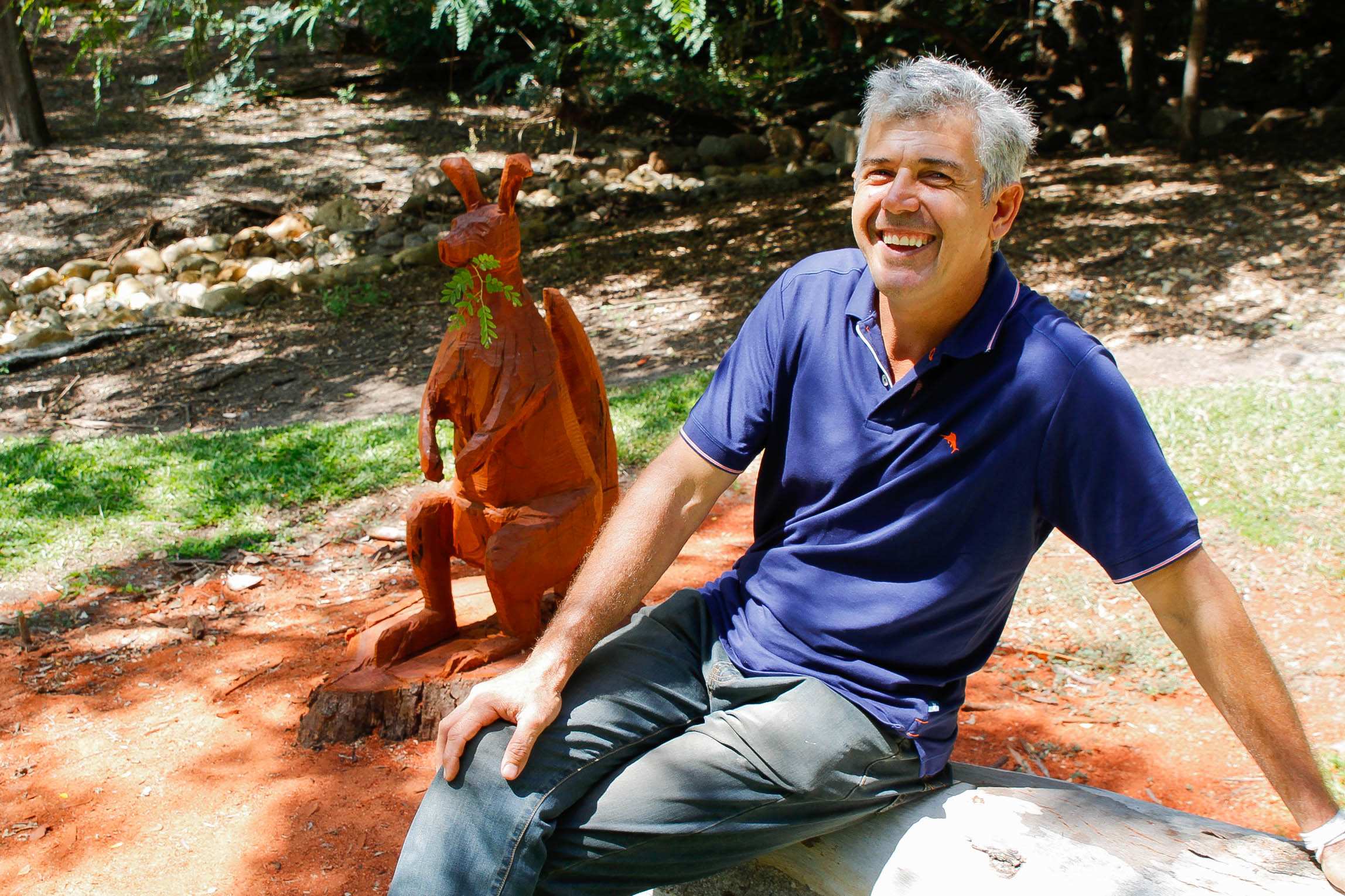 Queensland chainsaw artist carves Australian animals from fallen trees ...