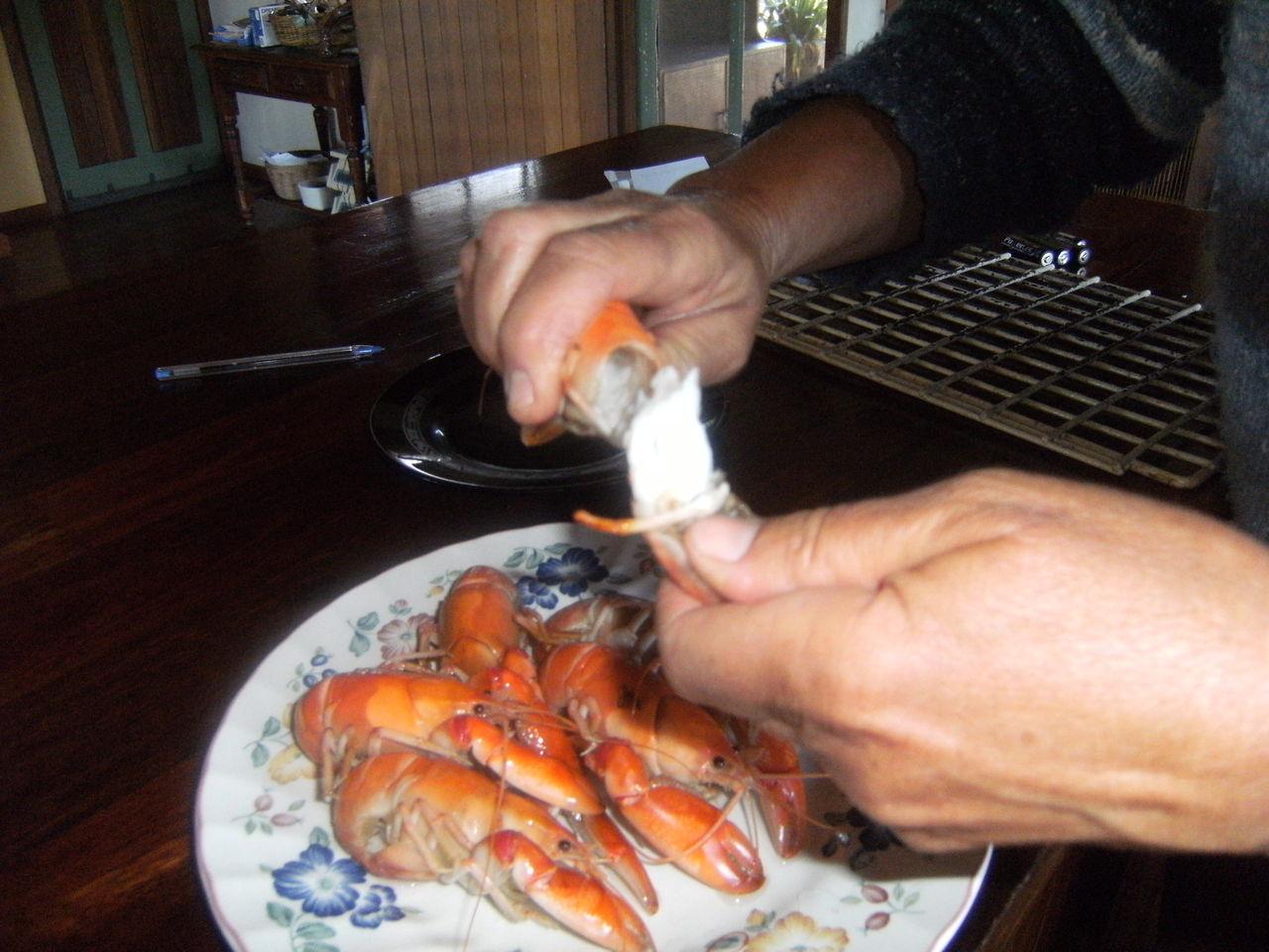 Fresh Yabbies - ABC News