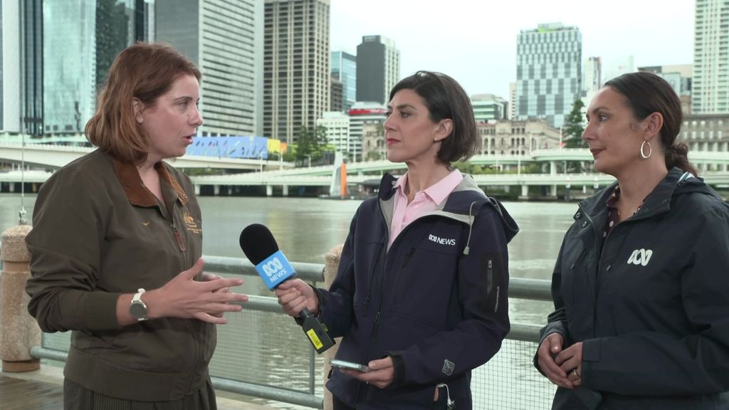 Aged Care Minister Anika Wells speaks on how her family is preparing ...