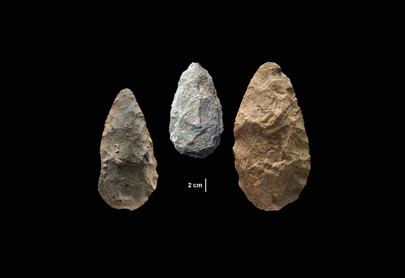 Ancient chewing gum reveals Stone Age woman's genome - ABC Radio