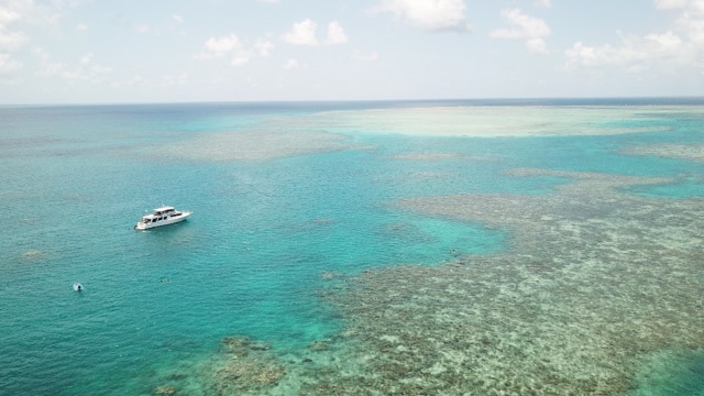 Environmentalists, scientists from the 1960s return to fight for Great ...