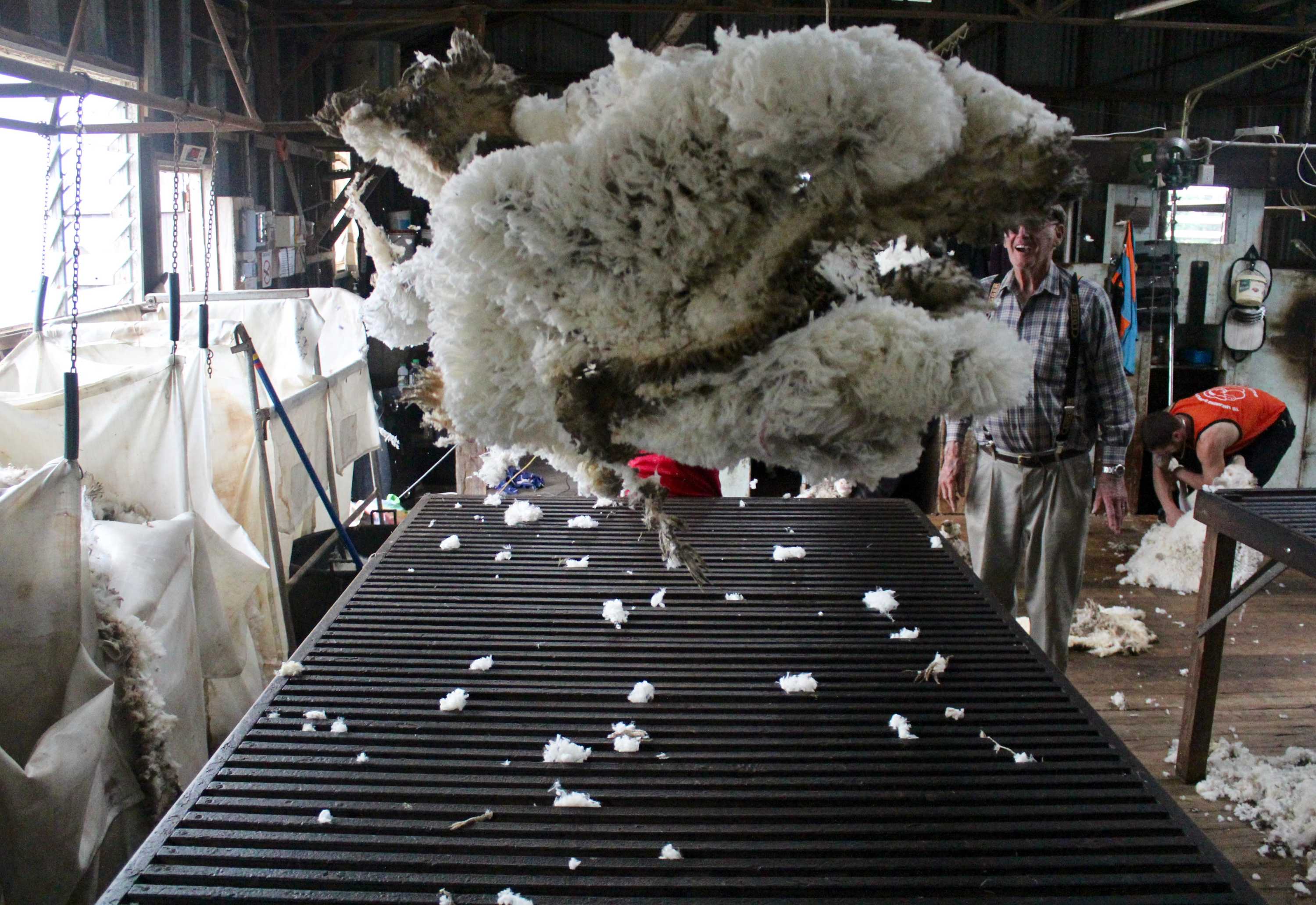 Female-led wool contract crew impresses with work ethic - ABC News