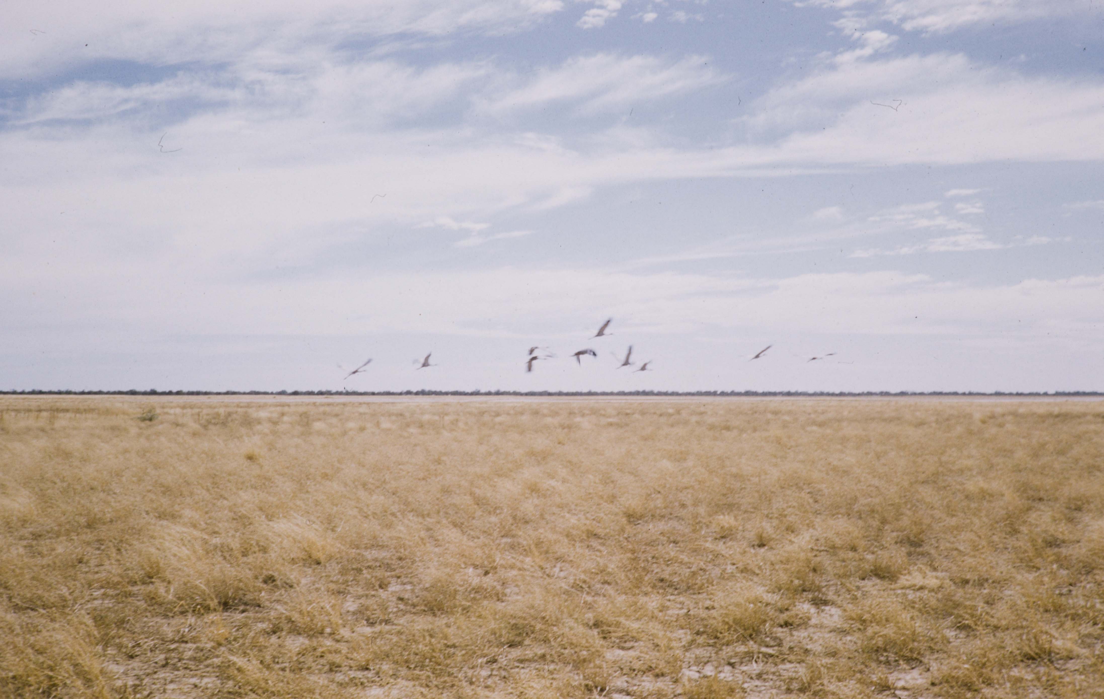 First Nations people were given names like Bing Crosby, Stalin and ...