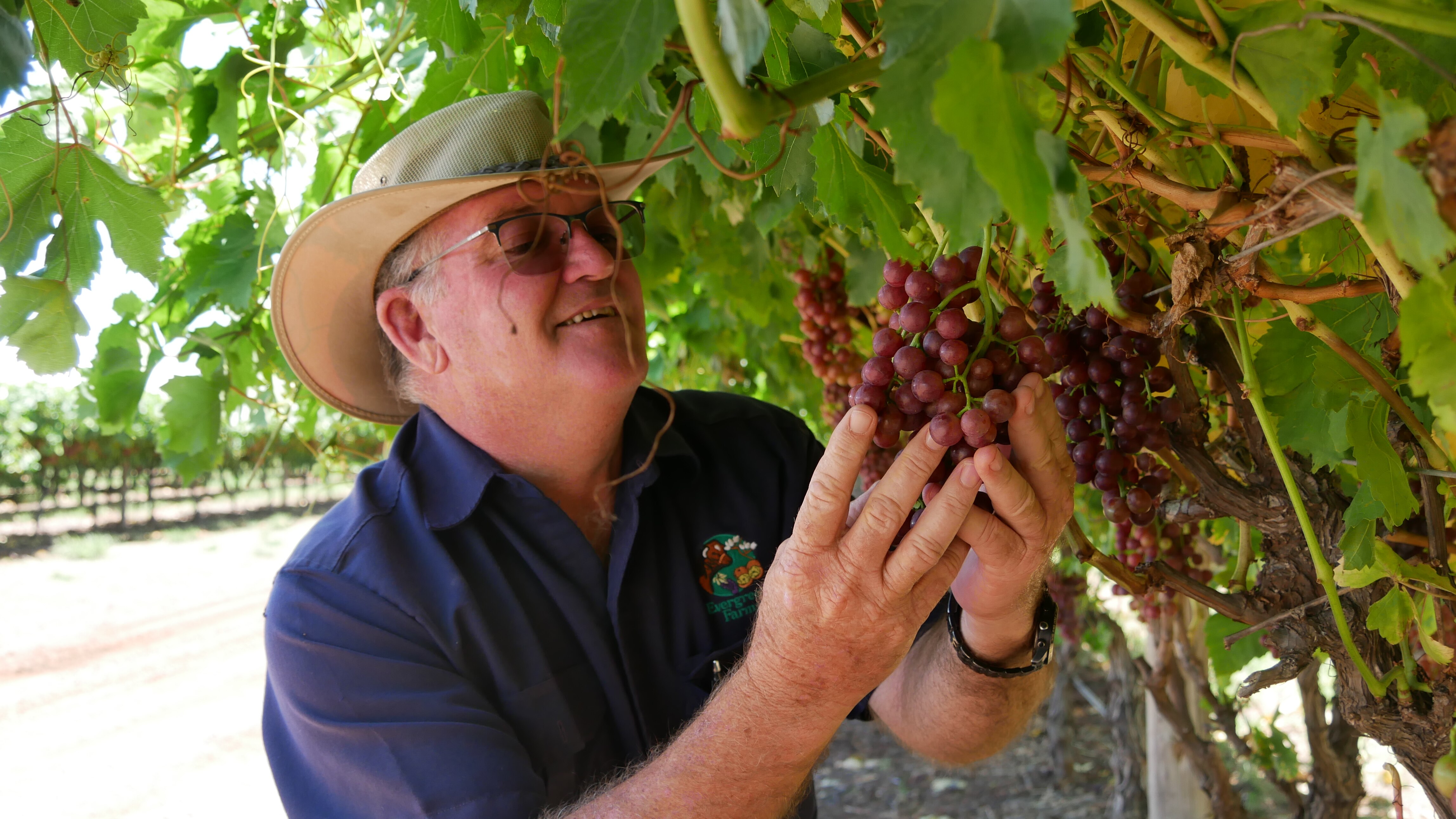 Fairbairn Dam reaches highest level in five years as farmers, locals ...