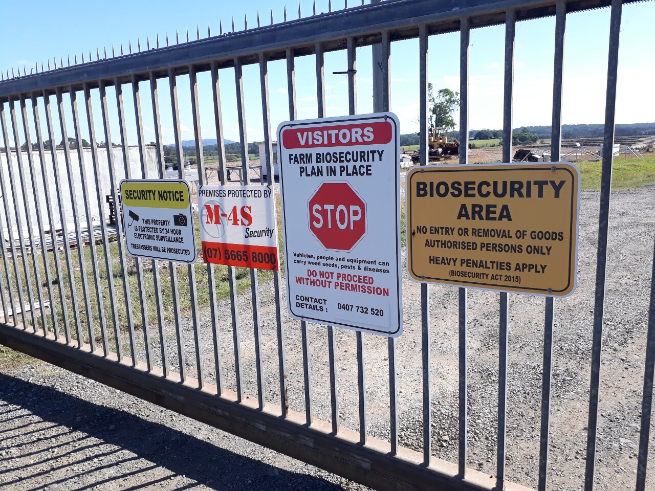 Federal Agriculture Minister orders review into raw prawn import risks ...