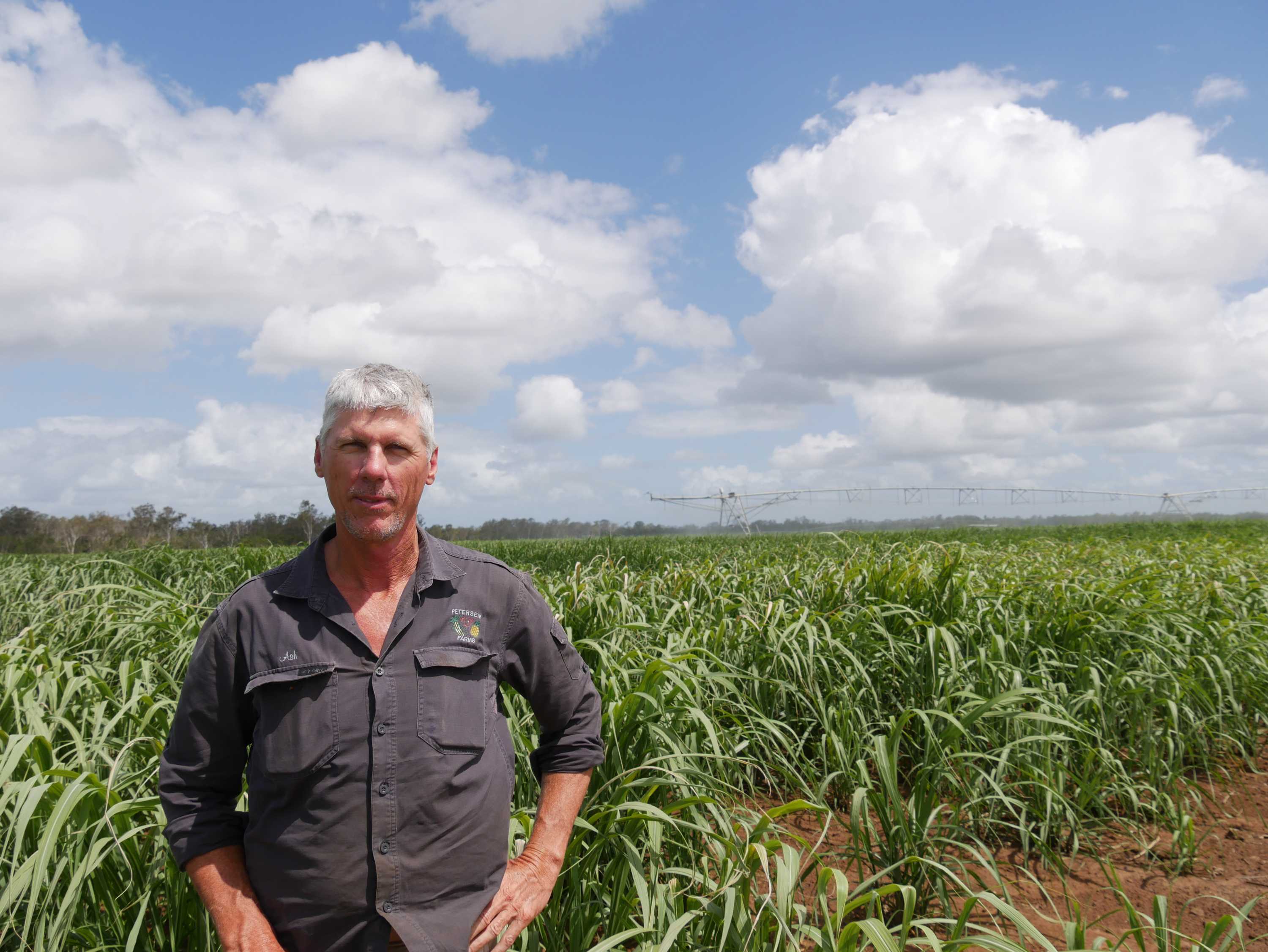 Butchulla Indigenous community condemns fracking on native land in Wide ...