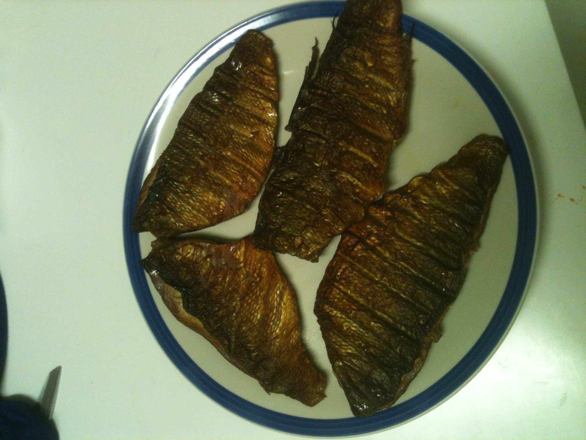 The Big Fish Tailor bite them before they bite you - ABC listen