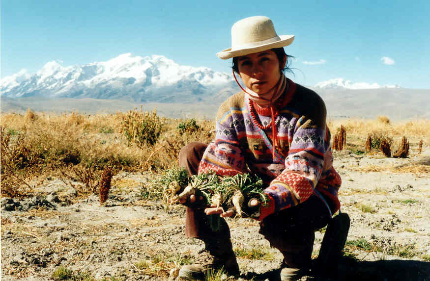 A Peruvian national treasure is being smuggled out of the country by ...