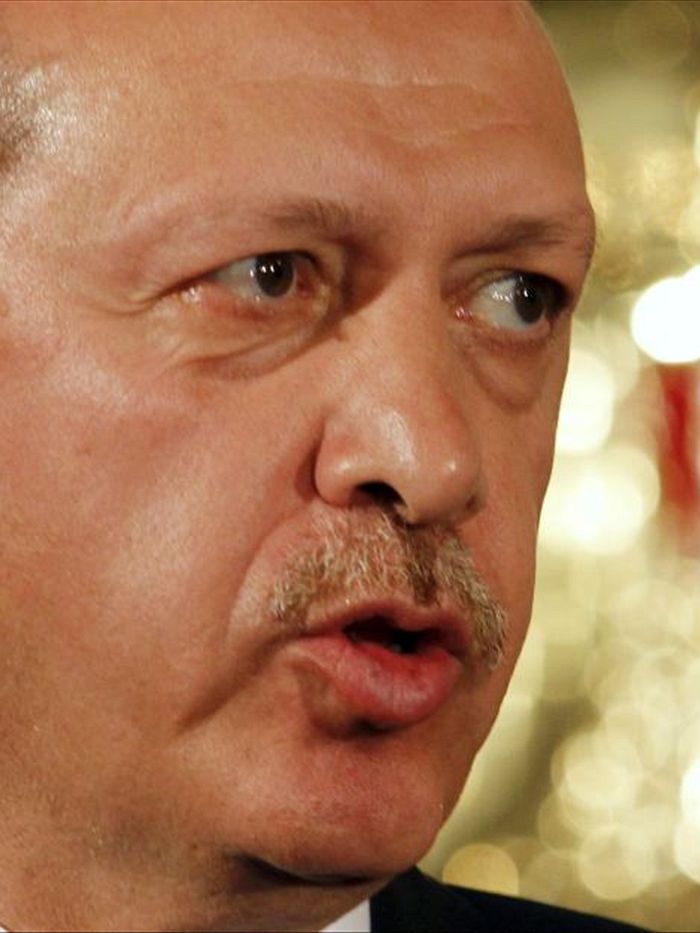 Turkey attacks France over Armenian genocide bill - ABC listen