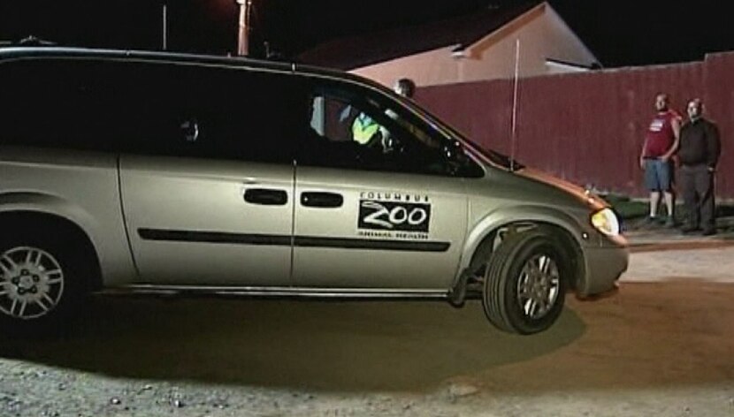 Police shoot dead freed zoo animals - ABC News