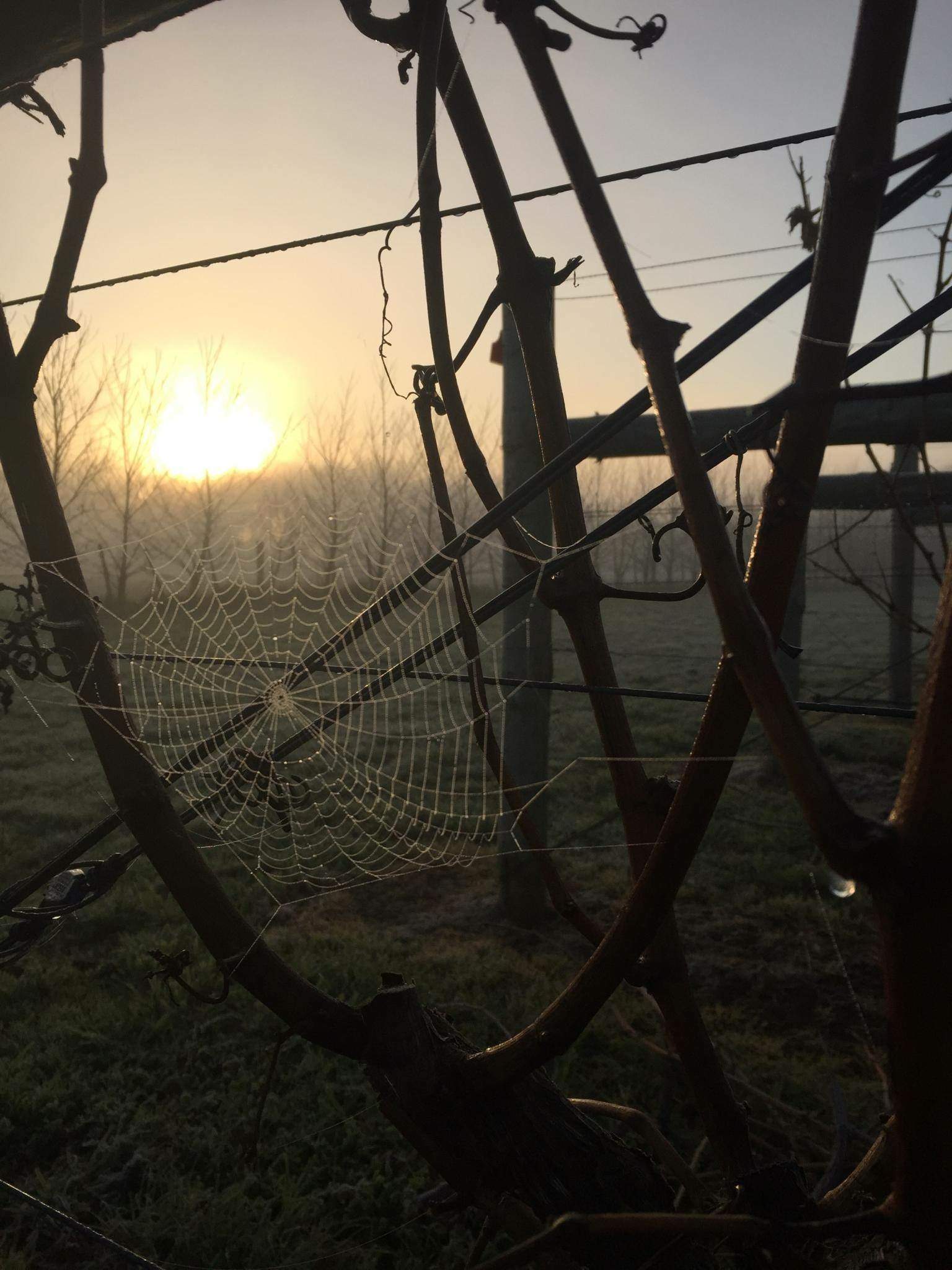 Ghost Rock opens new commercial winery on Tasmania's central coast ...