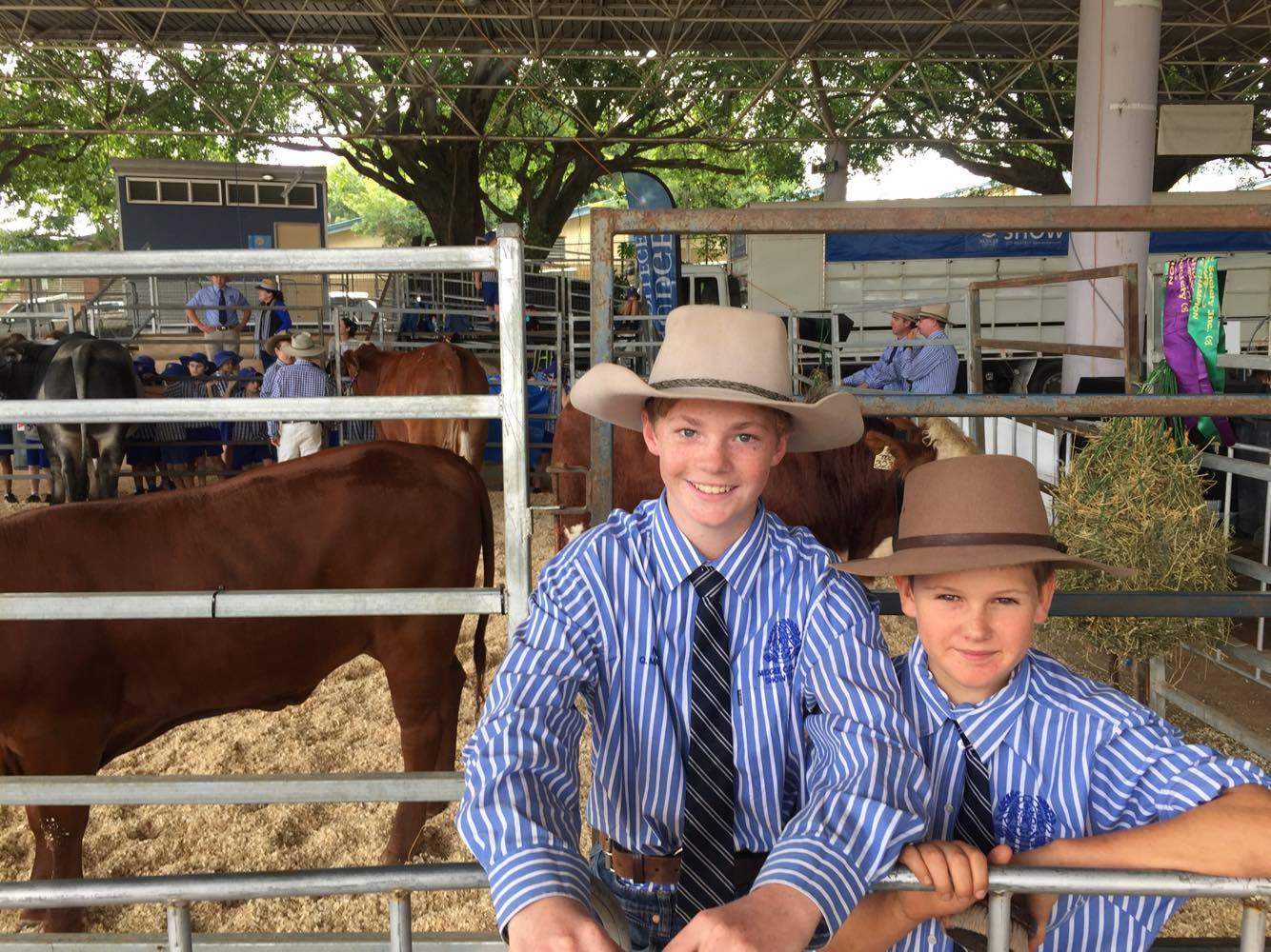 From Paddock to Plate: Ekka Rural Discovery Day introduces kids to ...
