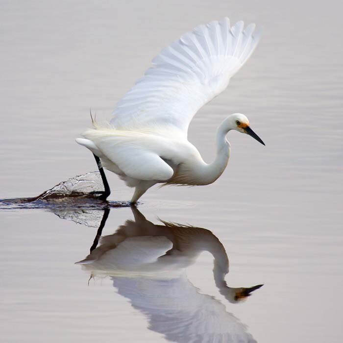 Australian Story: David Rennie tames his demons with photography - ABC News