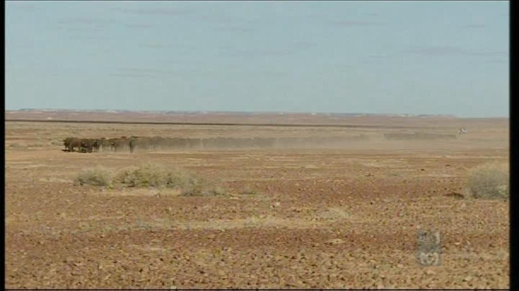 Land Army - ABC News