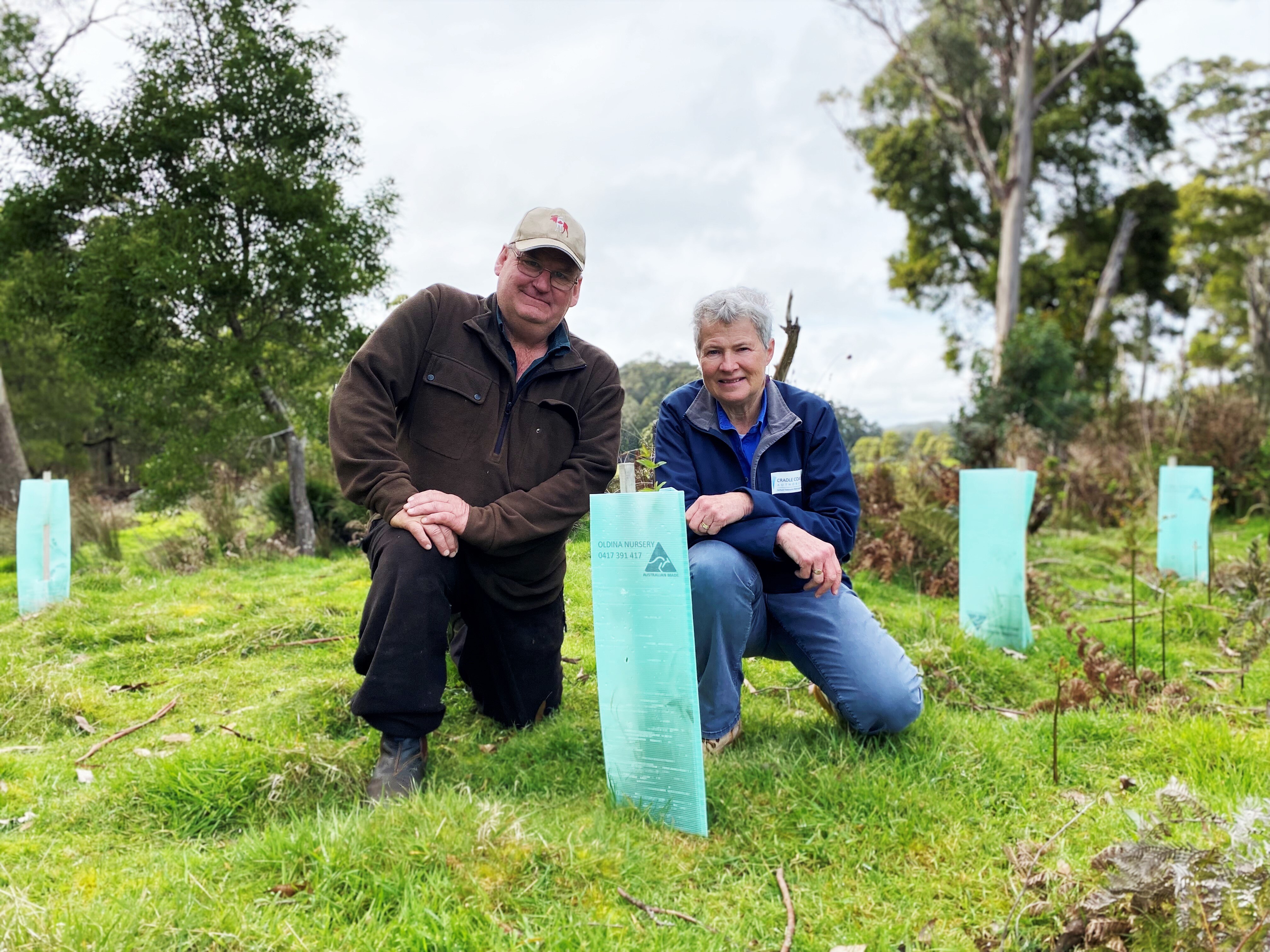 Tasmanian farmers step in to save giant freshwater crayfish - ABC News