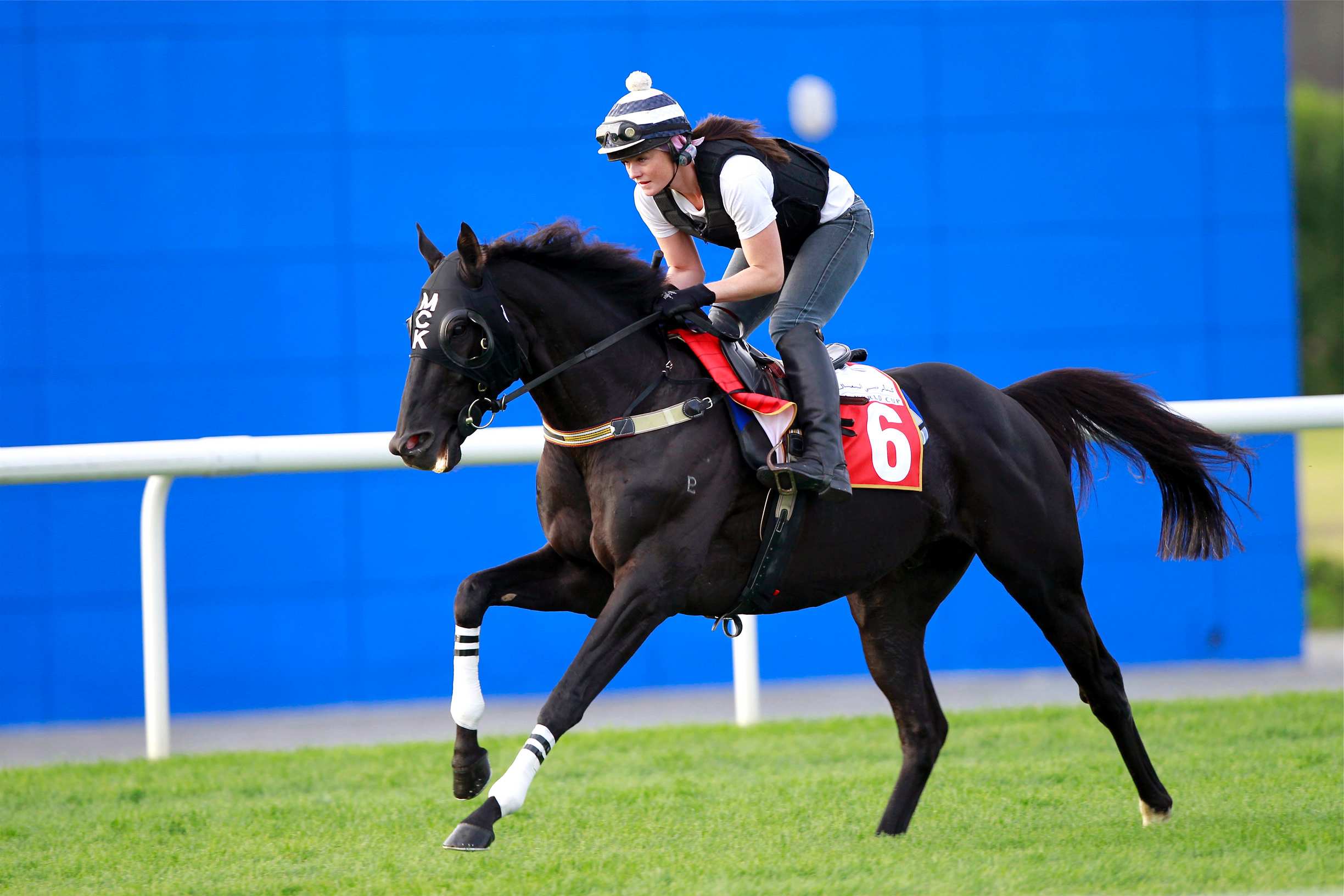 22. UNUSUAL SUSPECT - ABC News