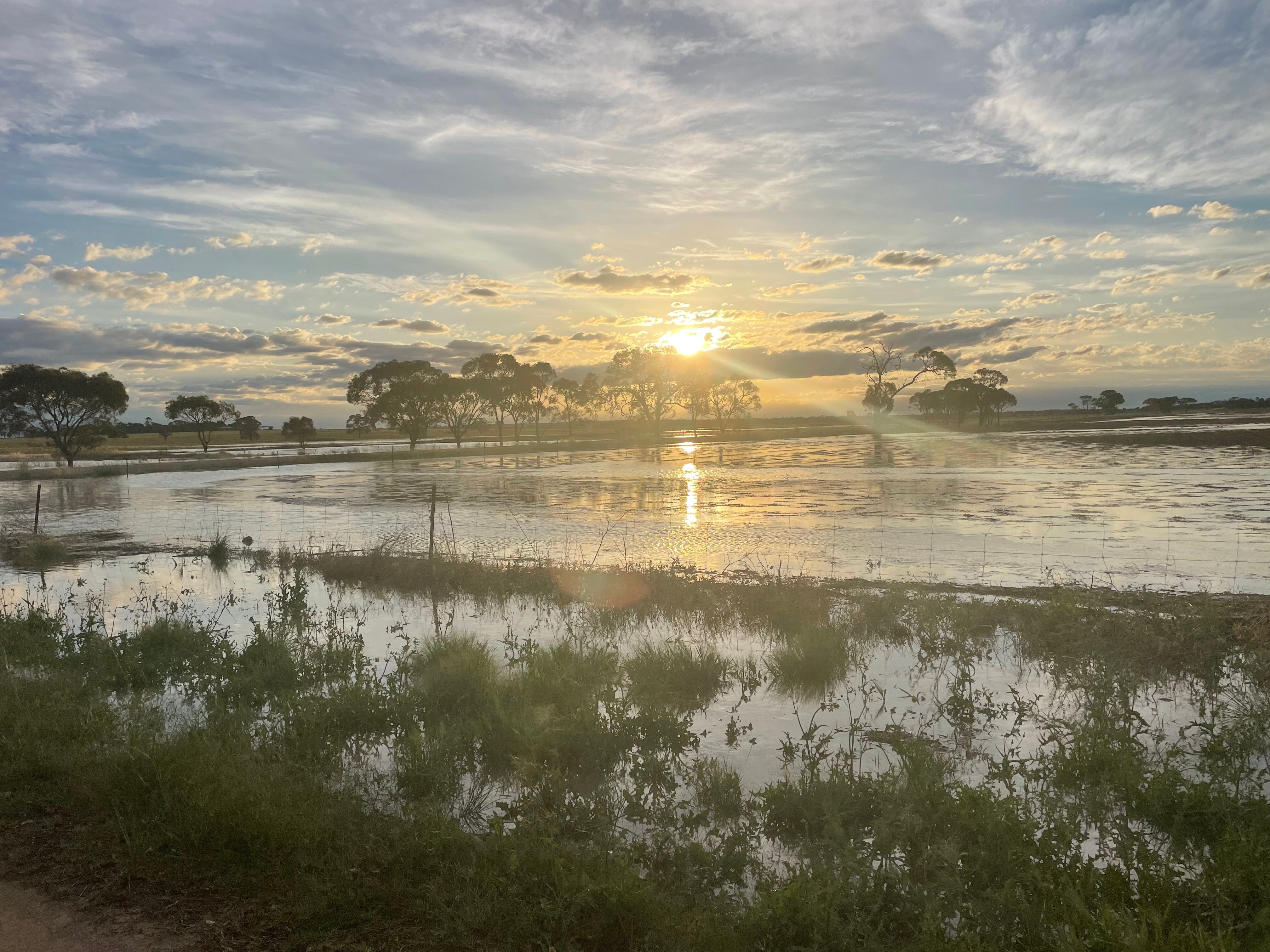 Victorian Country Hour - ABC listen