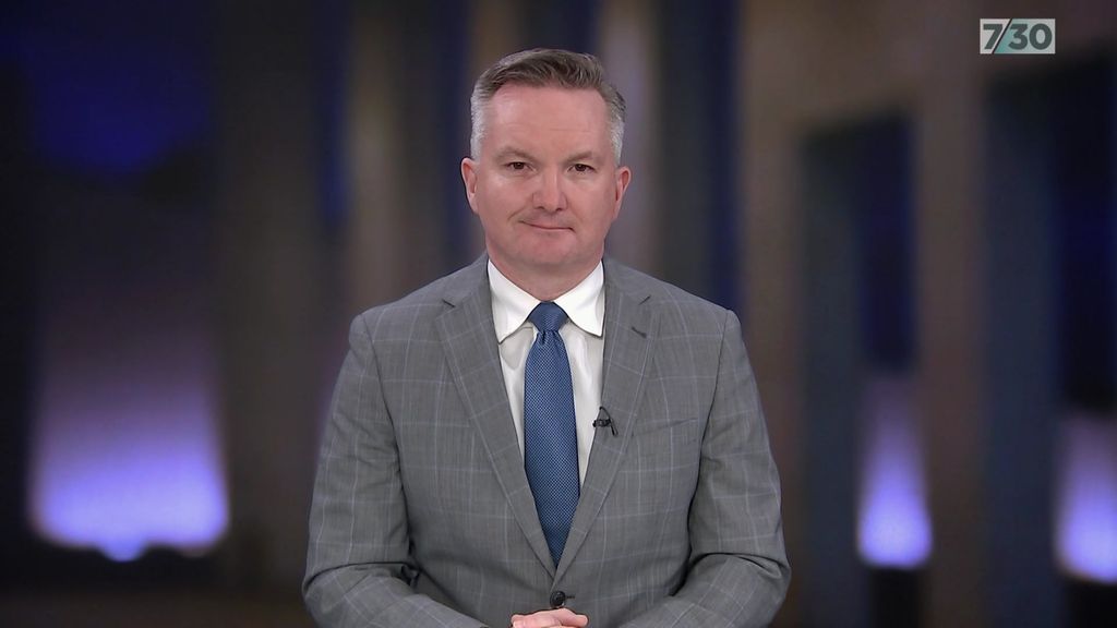 Interview: Chris Bowen on the climate change bill - ABC News